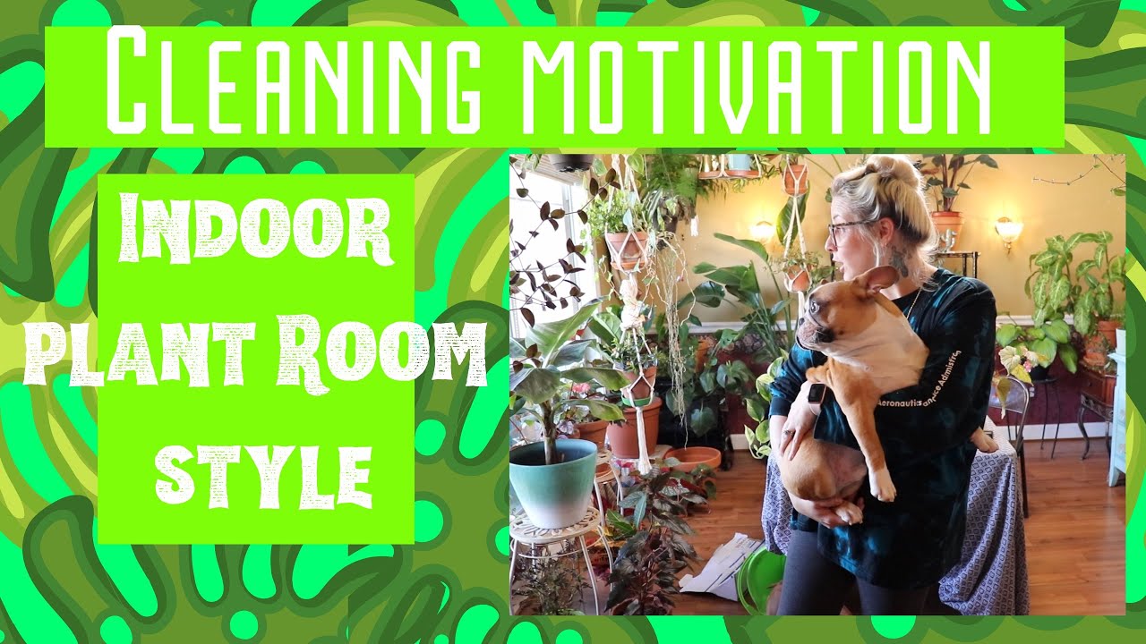 INDOOR PLANT TOUR PREP! | CLEANING MOTIVATION 2019 | CLEANING MY PLANT ...