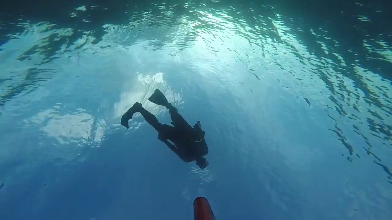 Cave Diving at Sharks Cove Part 2 - YouTube