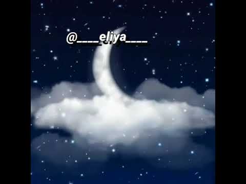 WhatsApp üçün yeni status video və mahnı 2019 mp3