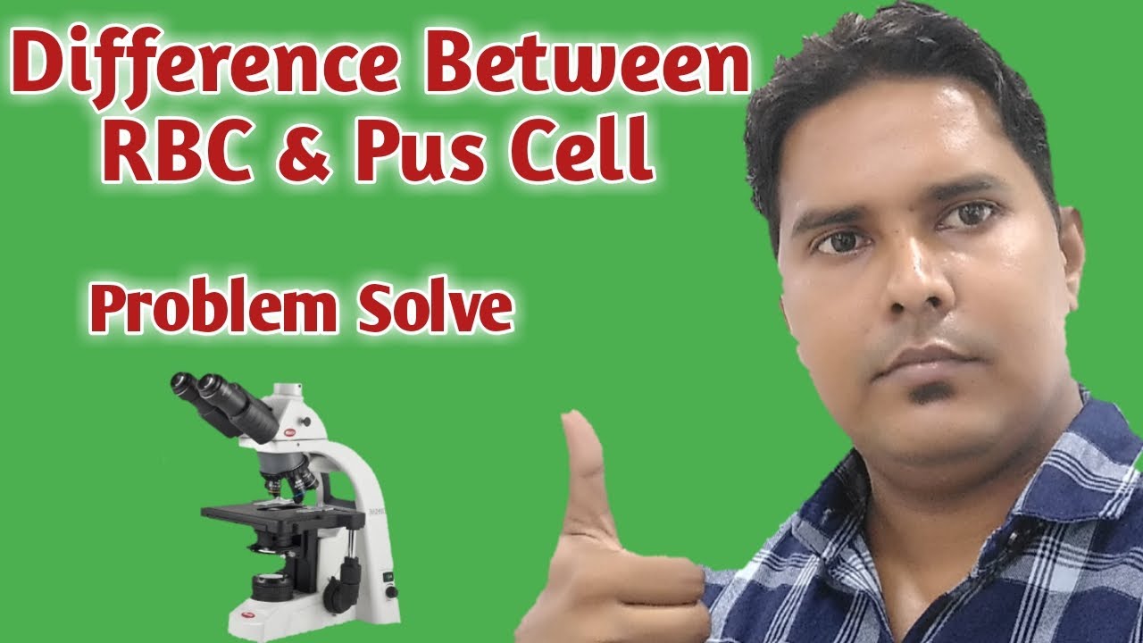 Difference between Rbc and Pus cells | Pus cells under microscope | Rbc ...