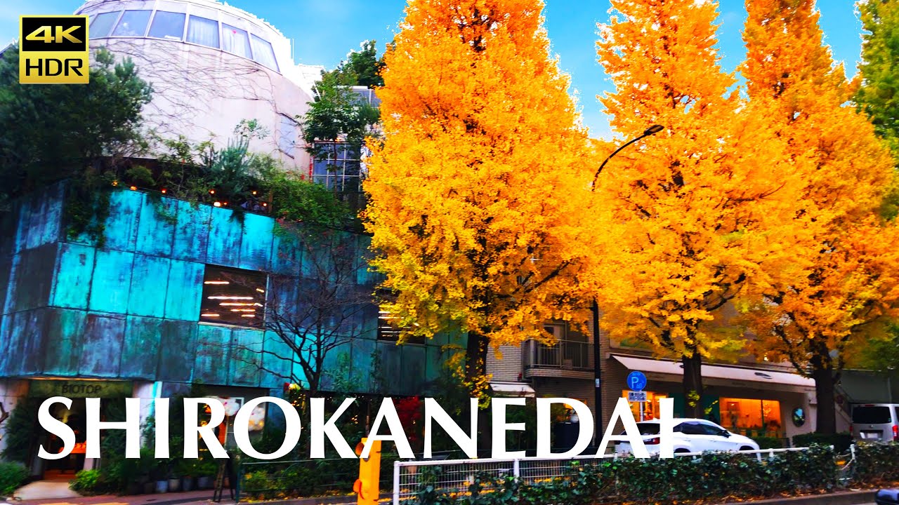 【4K】Shirokanedai Luxury Area JAPAN Dattime Walk - (Dec.2021) - YouTube