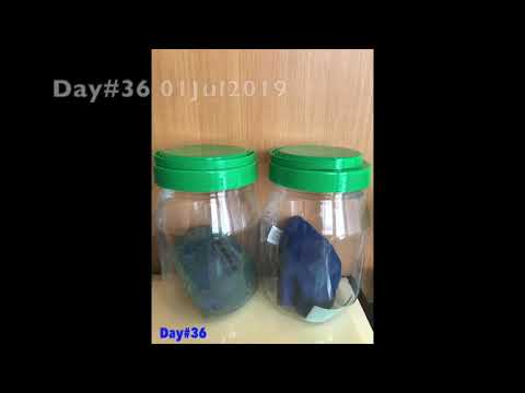 TL: "0" bacteria/mold/fungi growth with antimold ecochip - YouTube