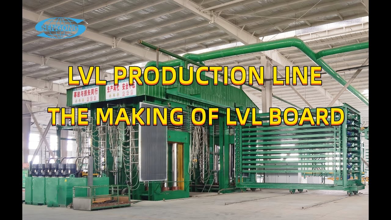 Full Automatic LVL Board Making Machine Production Line Hot Press - YouTube