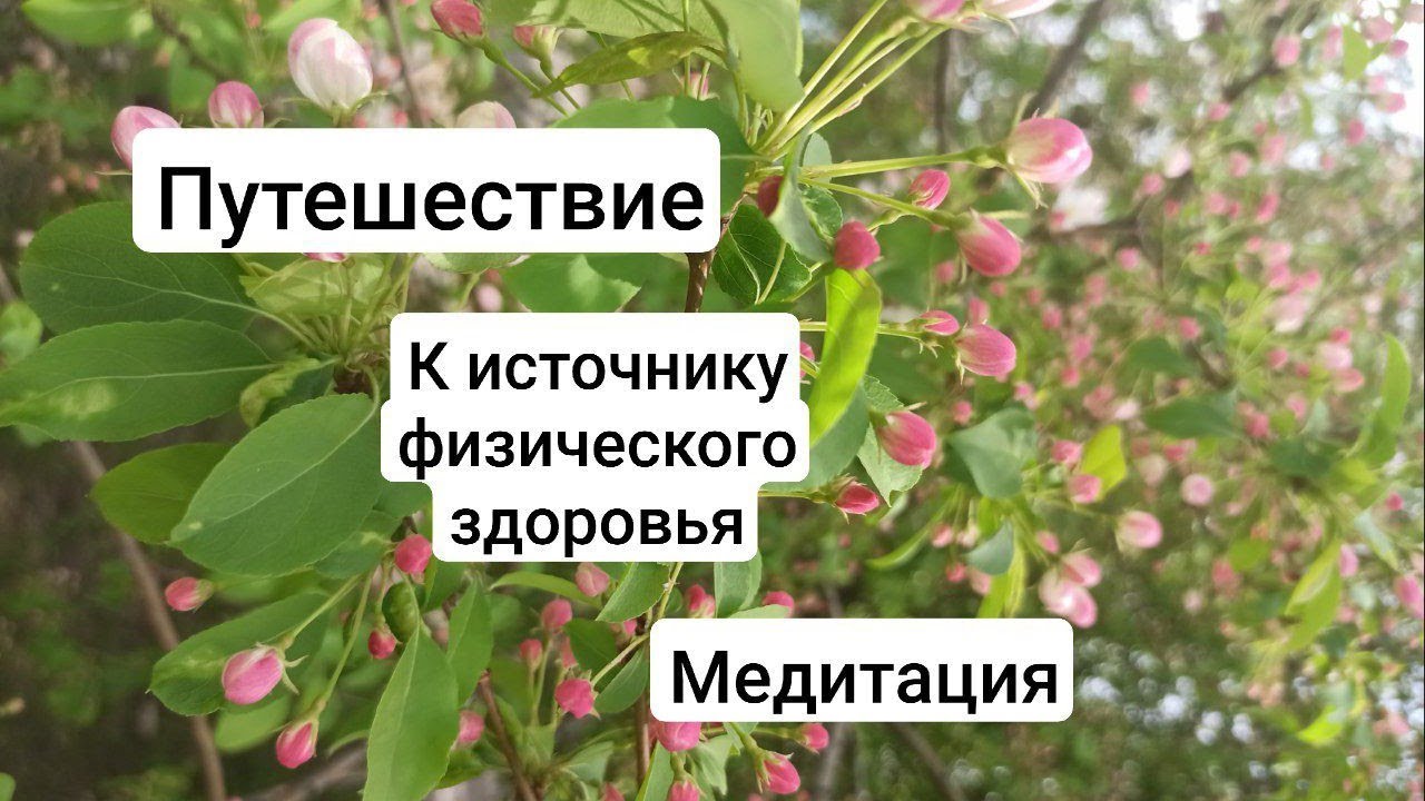 Шаман - медитация "Путешествие к источнику физического здоровья" Shaman ...