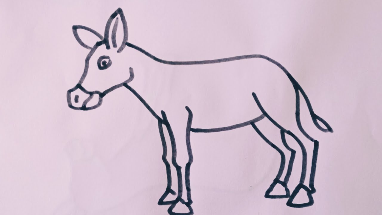 How to draw a donkey/easy drawing step by step/donkey drawing for kids ...
