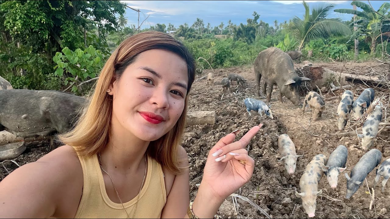 Malalaki na ang mga Native Biik ko 🐷Update sa mga Bagong panganak na ...