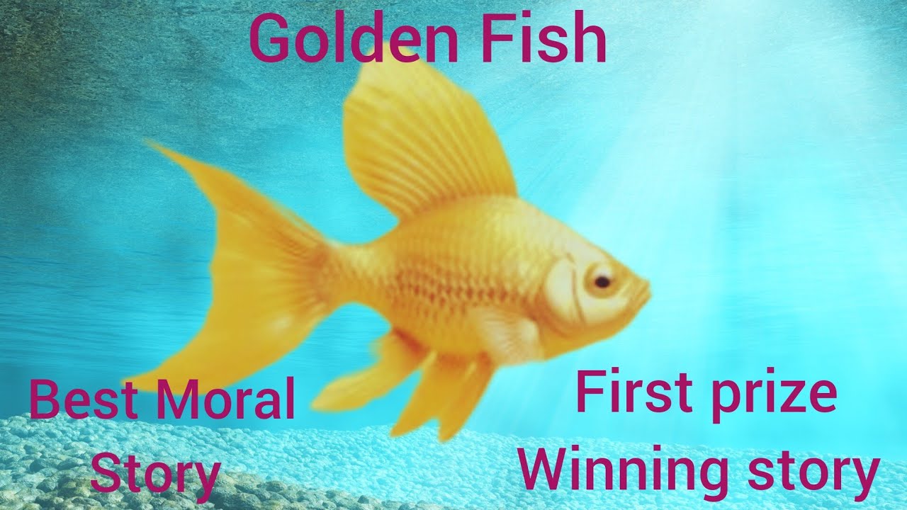 Golden Fish| English moral stories |Bedtime Stories for kids in English ...