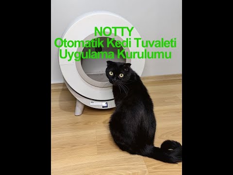 Notty mobil uygulaması ile kedi tuvaletinin eşleştirilmesi ve kullanım videosu.