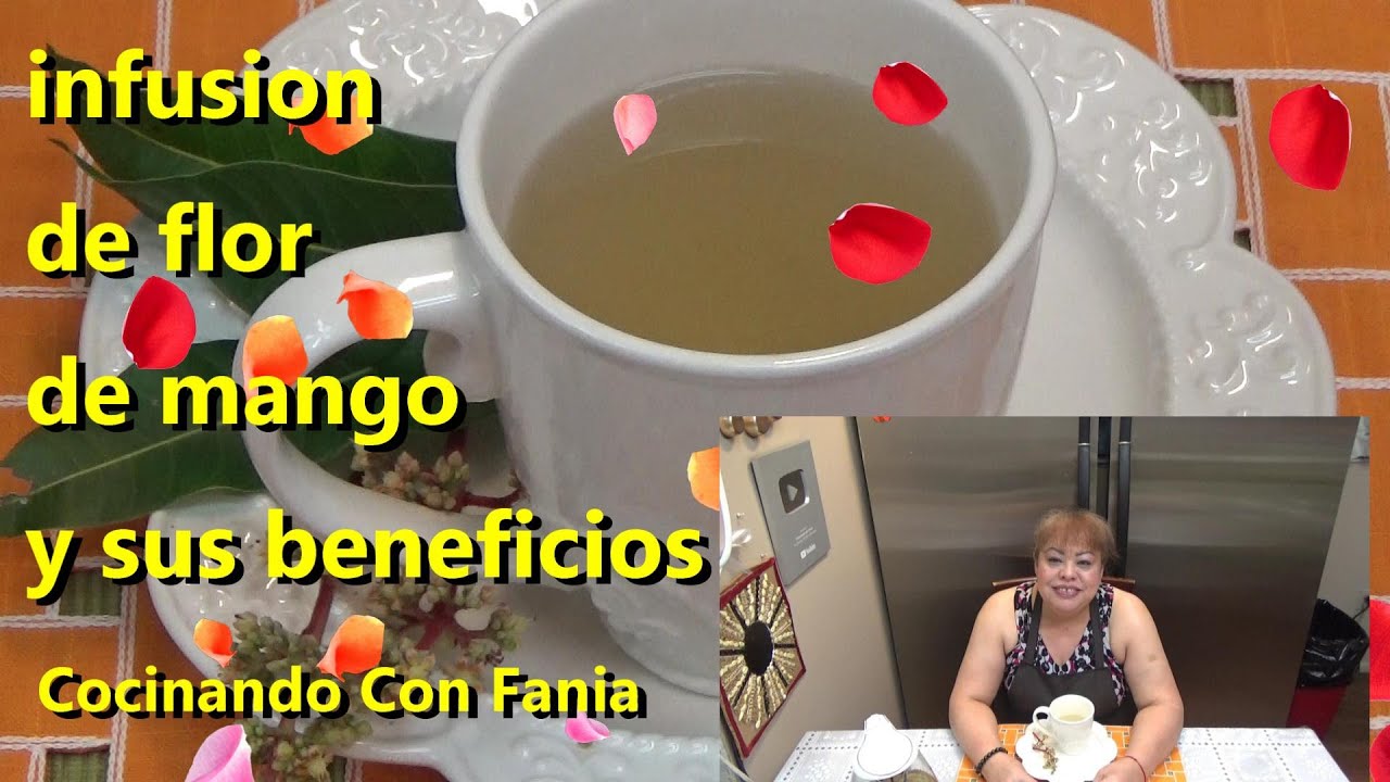 infusion de flor de mango beneficios y como hacerla - YouTube