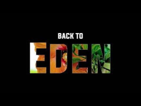 SHARING TIME | BACK TO EDEN - BRO IBRAHIM BADA | JULY 2ND, 2020 - YouTube