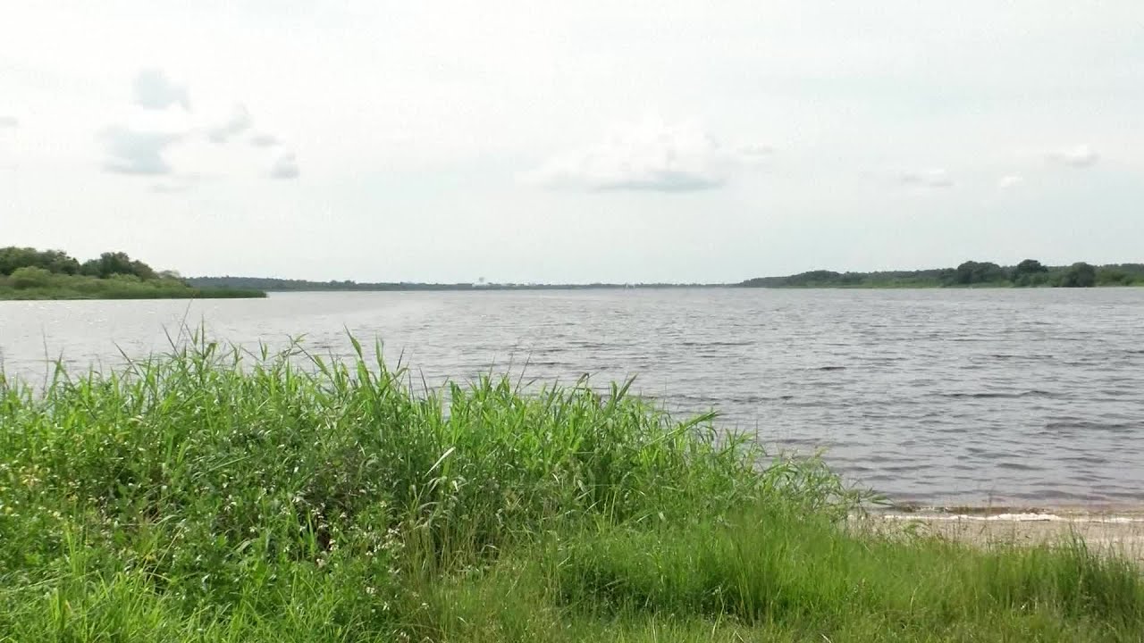 Florida man recovering after gator bite off his arm, spent 3 days lost ...