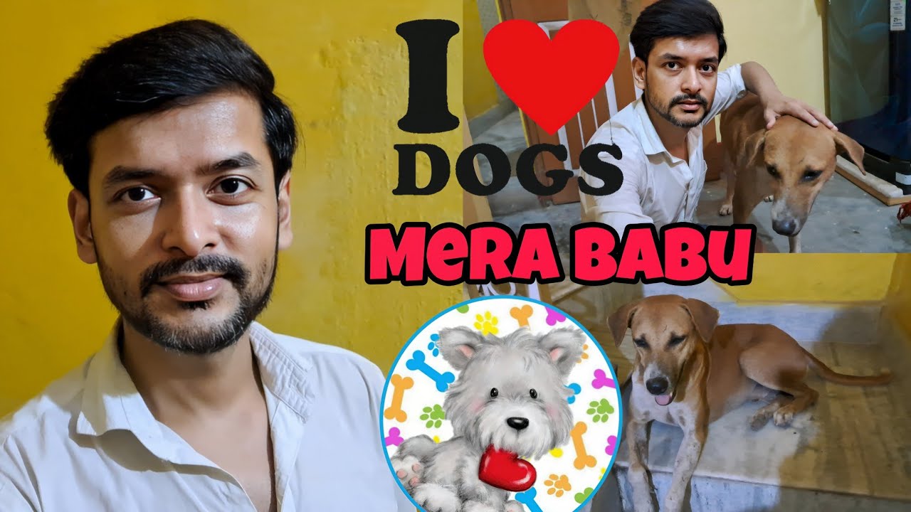 Cute Dogs | Dog Vlog Video | Funny Videos Dogs And Cats | Dog Vlogger | Videos for Dogs - YouTube