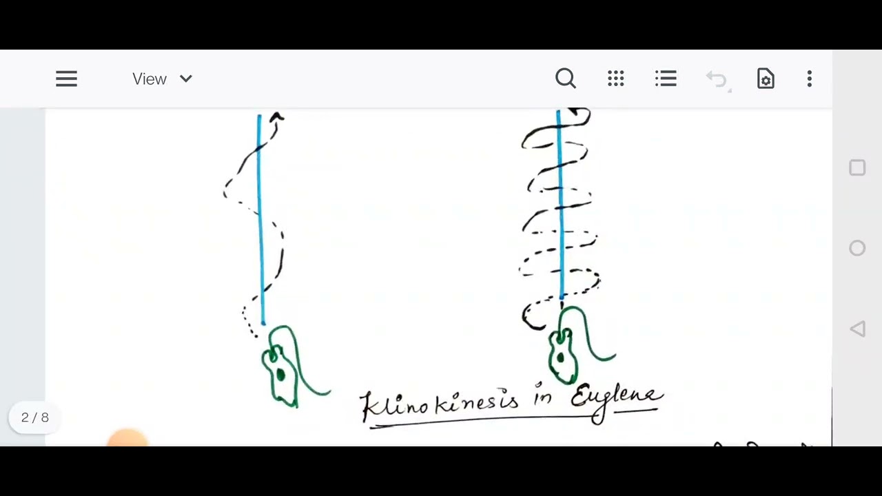 orientation-kinesis and Taxis - YouTube