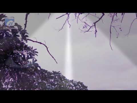 New lovely feeling love status video by NS