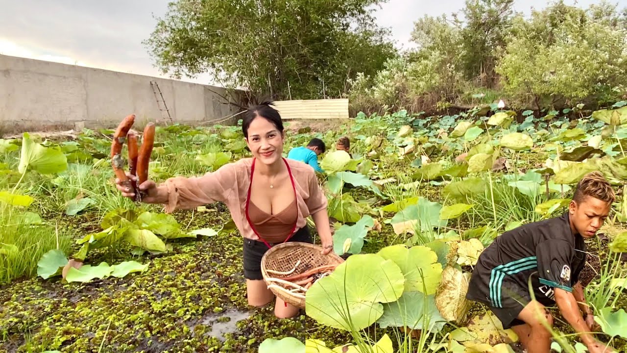 WE Harvest This Roots From The Village Pond For Soup - YouTube