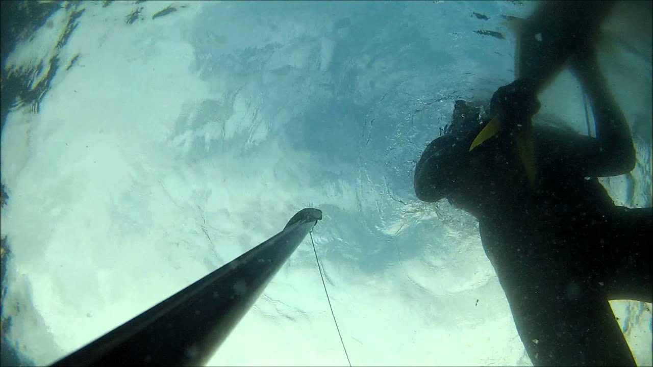 Fishing Hunting Diving NZ Compilation - YouTube