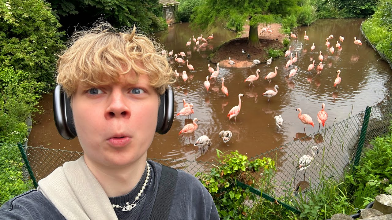 MEETING MM2 YOUTUBERS IN REAL LIFE! (IRL ZOO VLOG) - YouTube