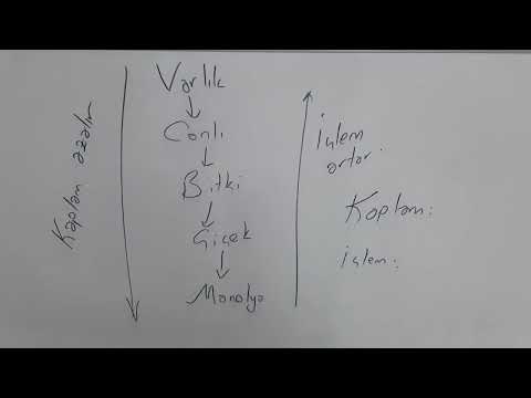 mantık #içlem kaplam