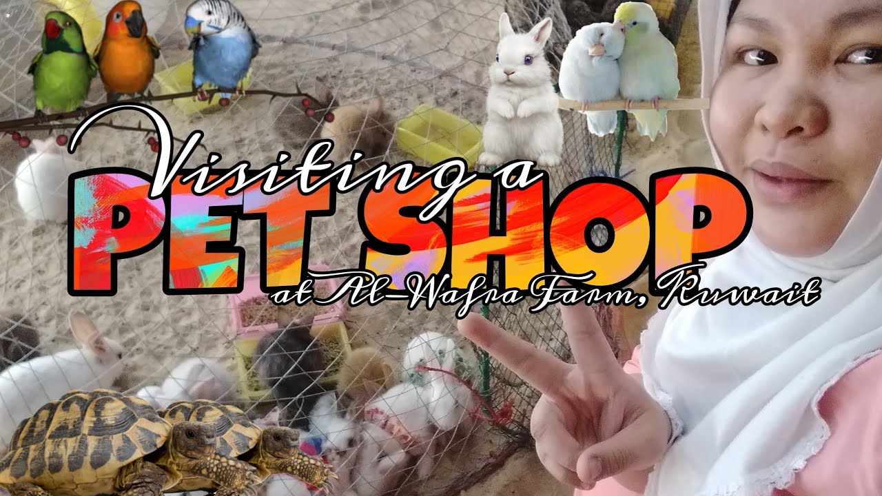 Visiting a PET SHOP in Al-Wafra Farm, Kuwait || babyjhonie vlog - YouTube