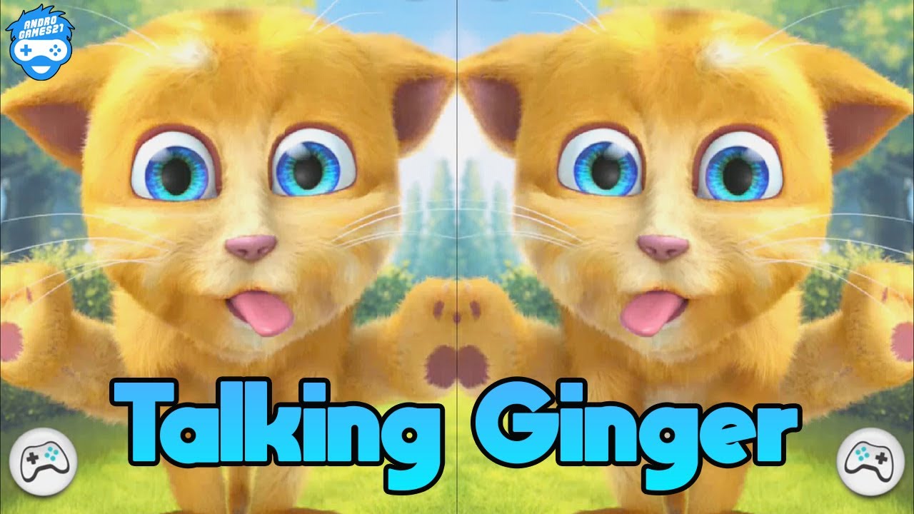 Talking Ginger - Talking Ginger Gameplay - YouTube
