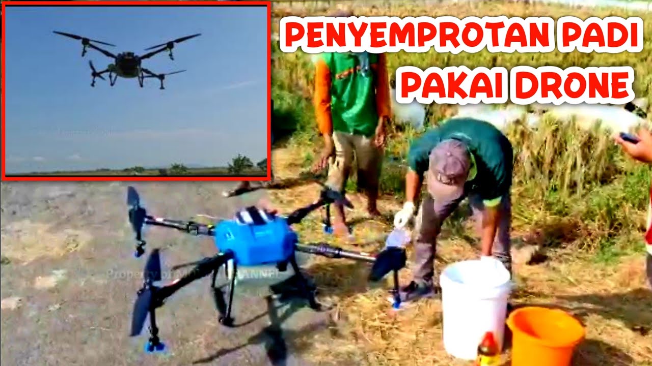 🔴Drone Sprayer penyemprot tanaman padi modern - YouTube