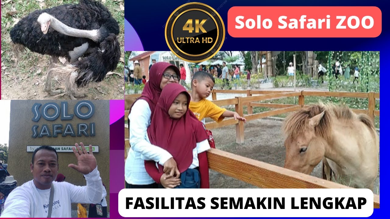 Piknik ke Solo Safari Zoo ~ Nonton Pertunjukan Satwa di Solo Safari Kebun Binatang Solo yang ...