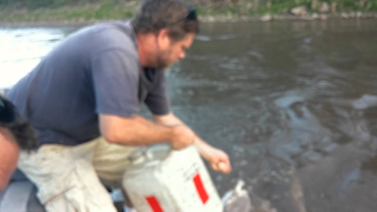 20 lb Blue Catfish - YouTube