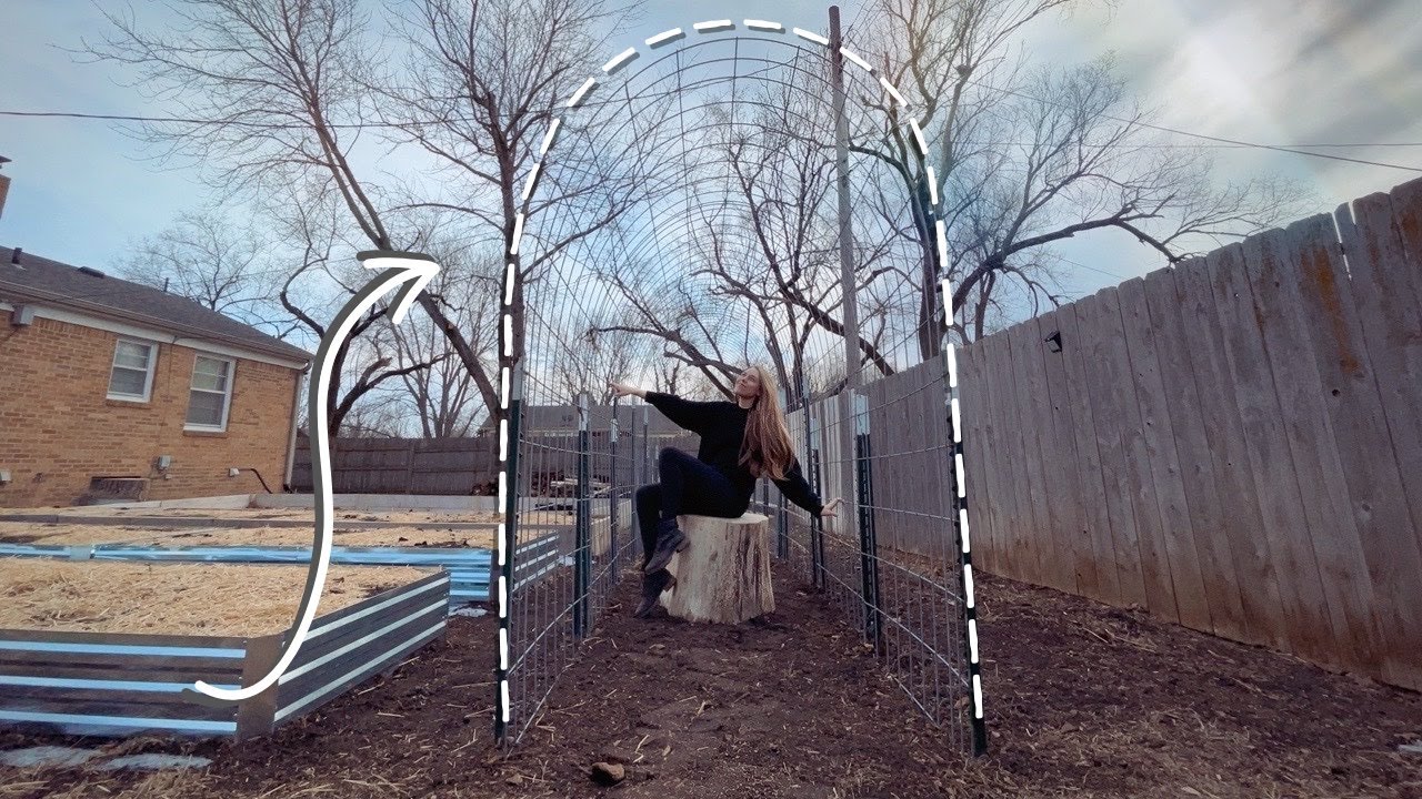 The Cattle Panel Trellis TUNNEL Is Installed! + Seedling Update ...