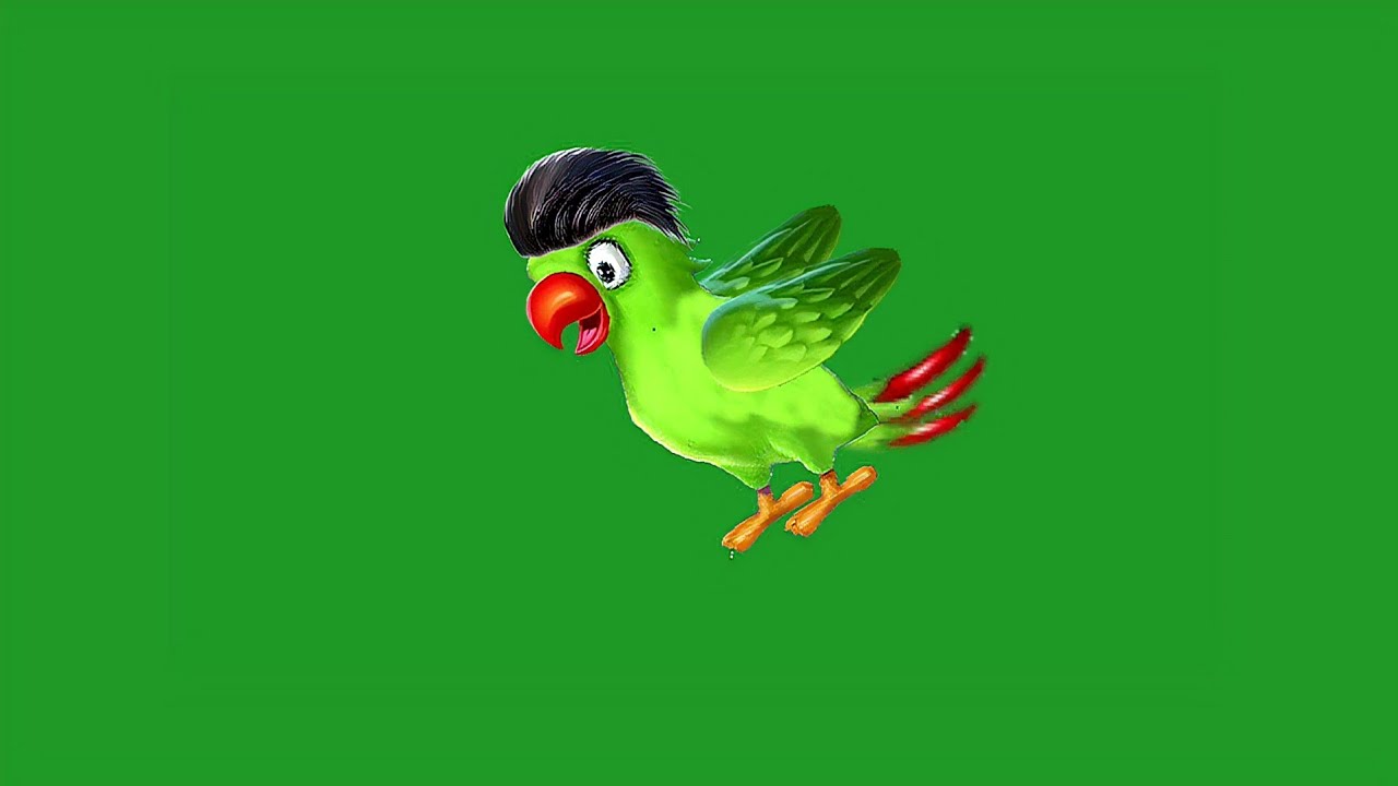 parrot flying birds green screen/flying parrot cartoon green screen ...