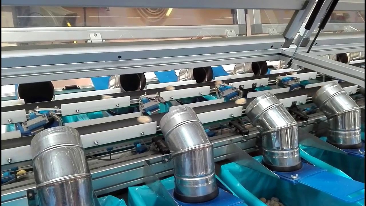 Grading System for Chestnuts - YouTube