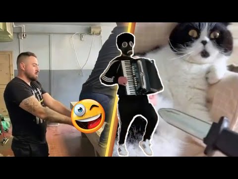 you laugh at every joke drag your blanket blindly | memes so funny you ...