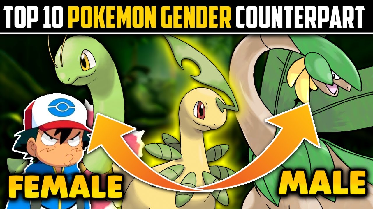 TOP 10 POKEMON GENDER COUNTERPART !!🔥 | Top 10 Similar Pokémons ...