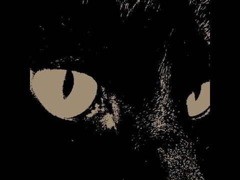 otuka - year of the cat - YouTube