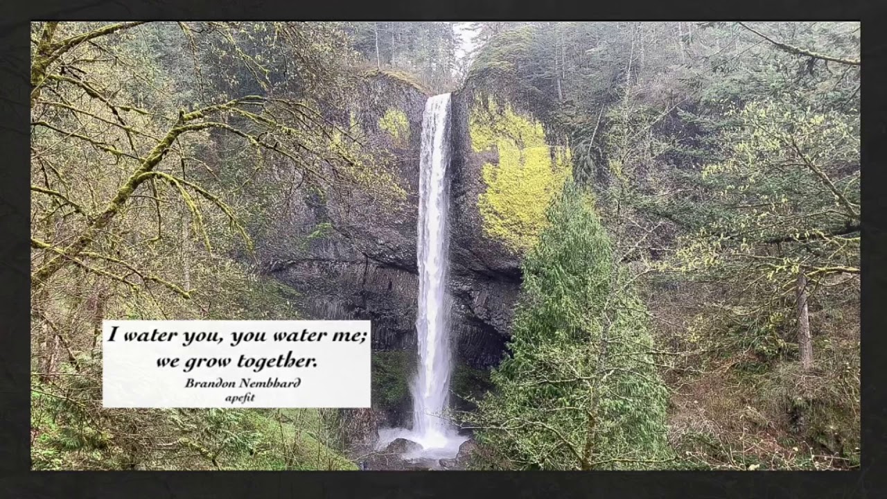 I water you, you water me; we grow together. Brandon Nembhard - YouTube
