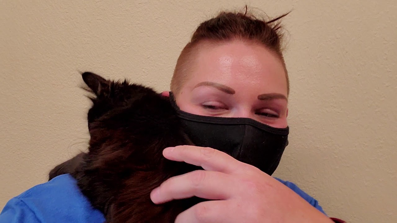 Sequin - Cat - Carson City - YouTube