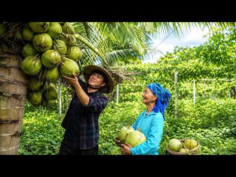 A Day with Grandma: Coconut Harvest, Sweets & Poultry Care