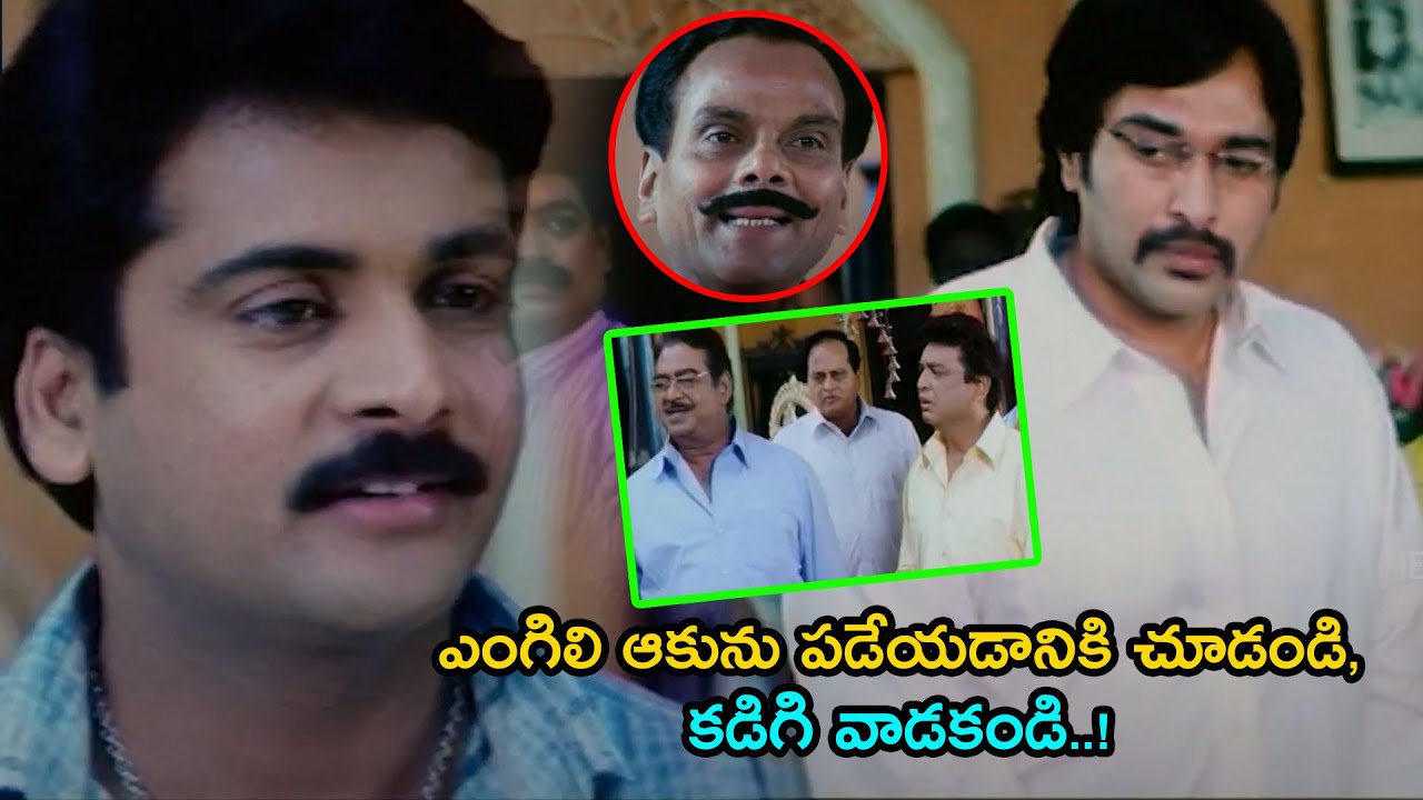 Sivaji & LB Sriram Funny Comedy Scene | Comedy Express - YouTube