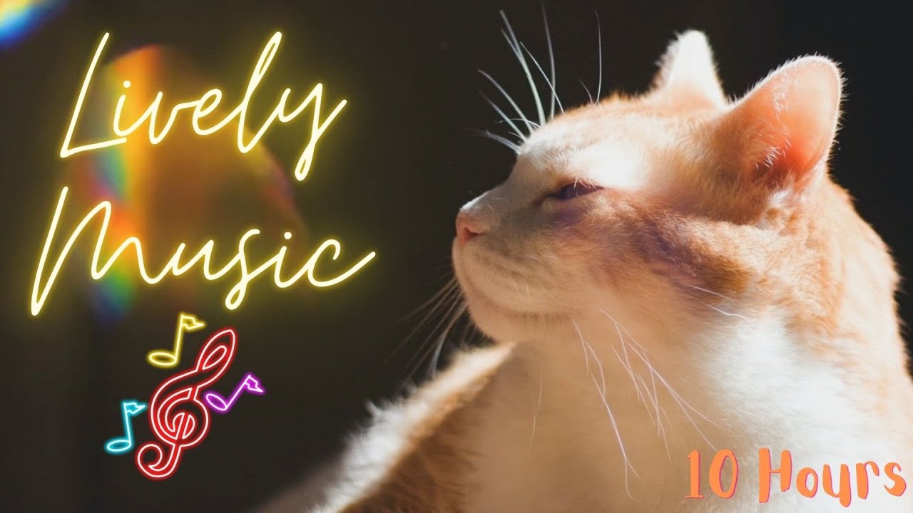 Cat Lighting Art | Lively Melodious Music | 10 Hours | Relaxation ...