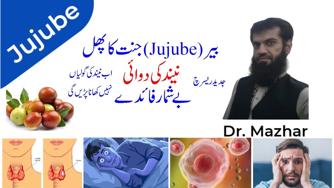 jujube health benefits | bair k faidy | treatment of insomnia | Dr ...