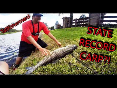 New STATE Record GRASS CARP?! Ft. TALLFISHERMANJ - YouTube
