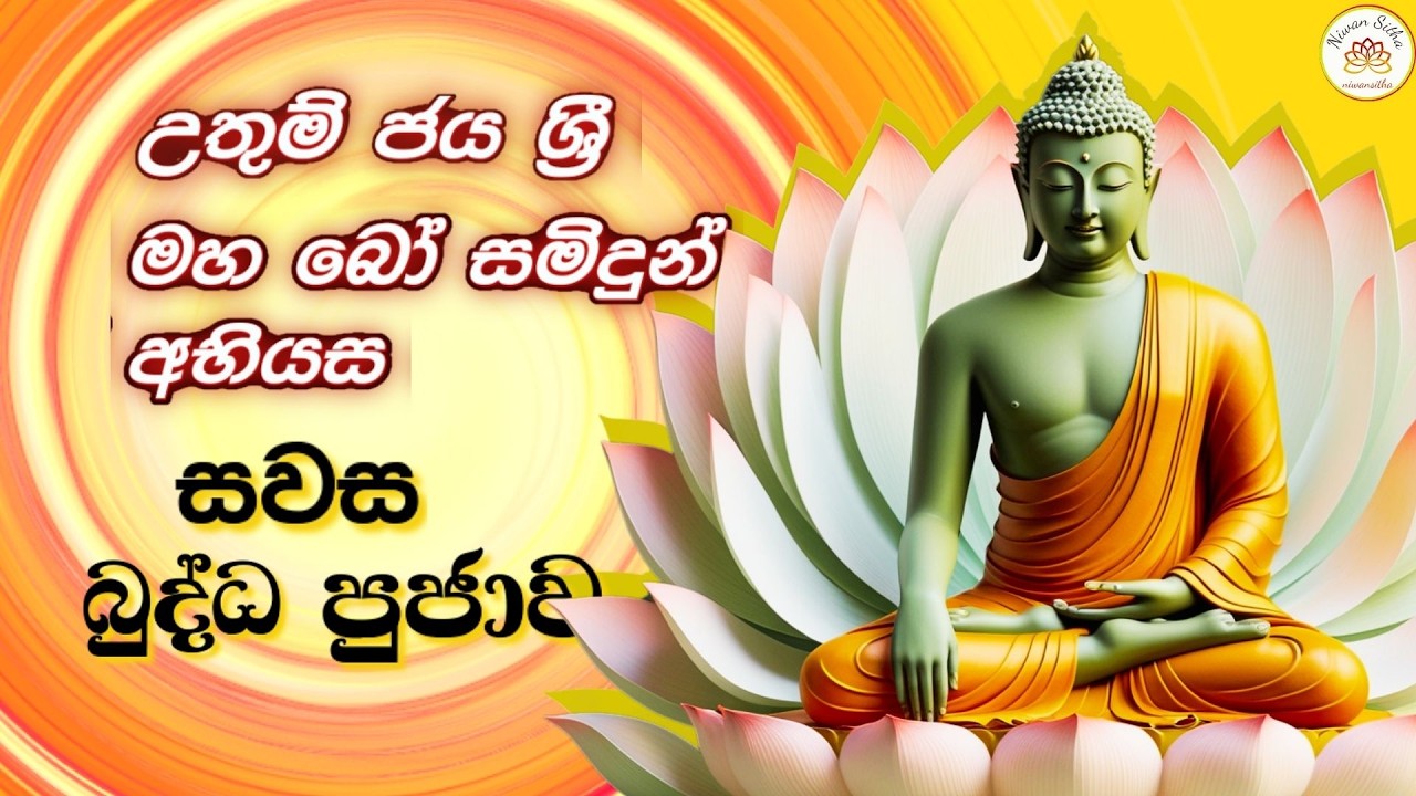Buddha Pooja in front of the great Jayashree Maha Bodhi Anuradhapura ...
