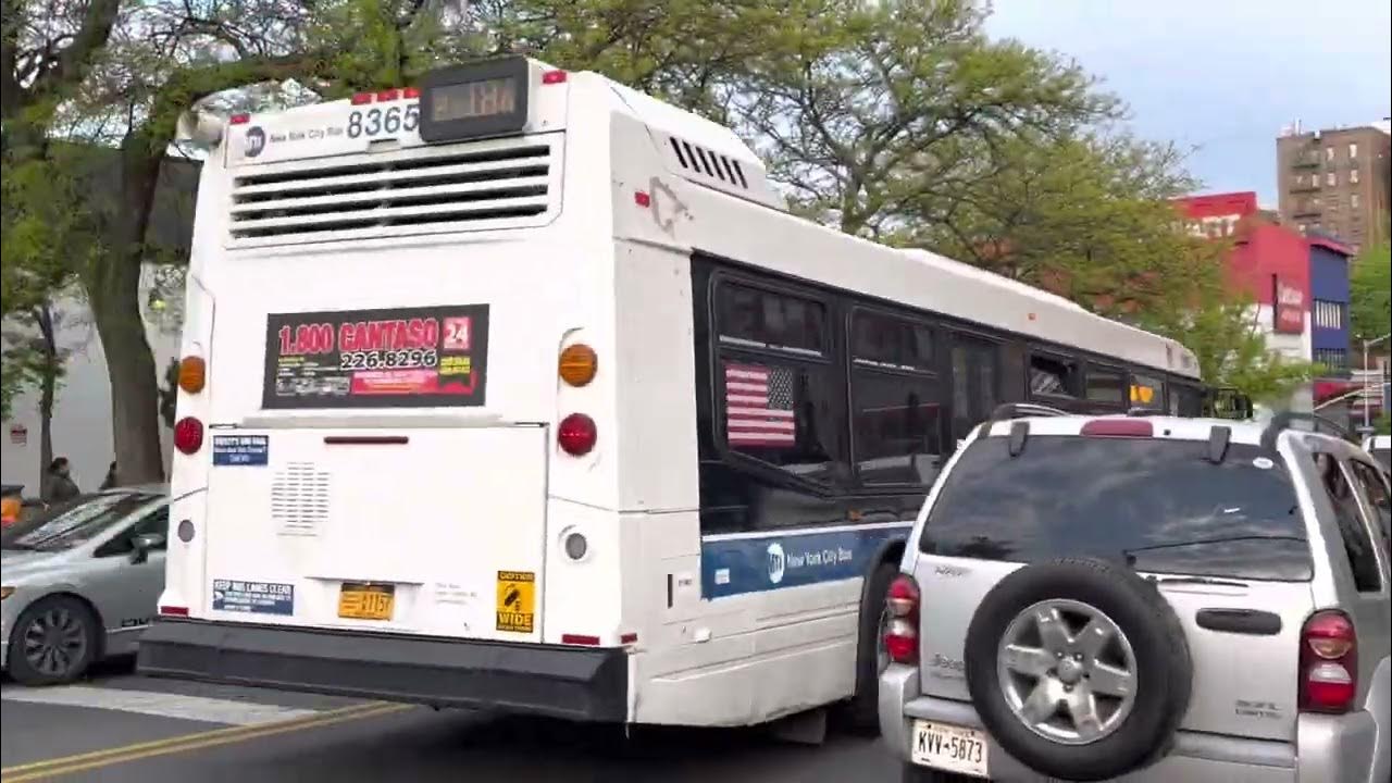 MTA NYCT Bus: 2015 NovaBus LFS #8365 Bx18A Bus - YouTube