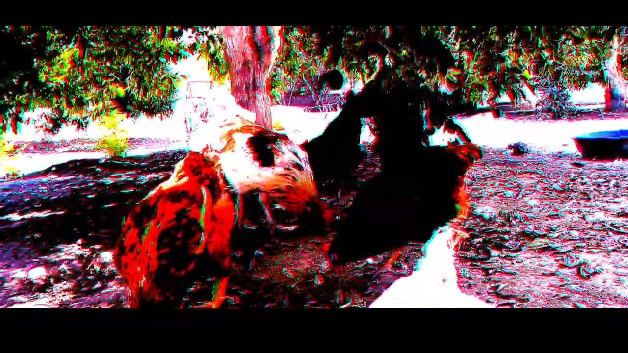 (Astral chicken)(trance mouth harp)@Astraldrummer-str - YouTube