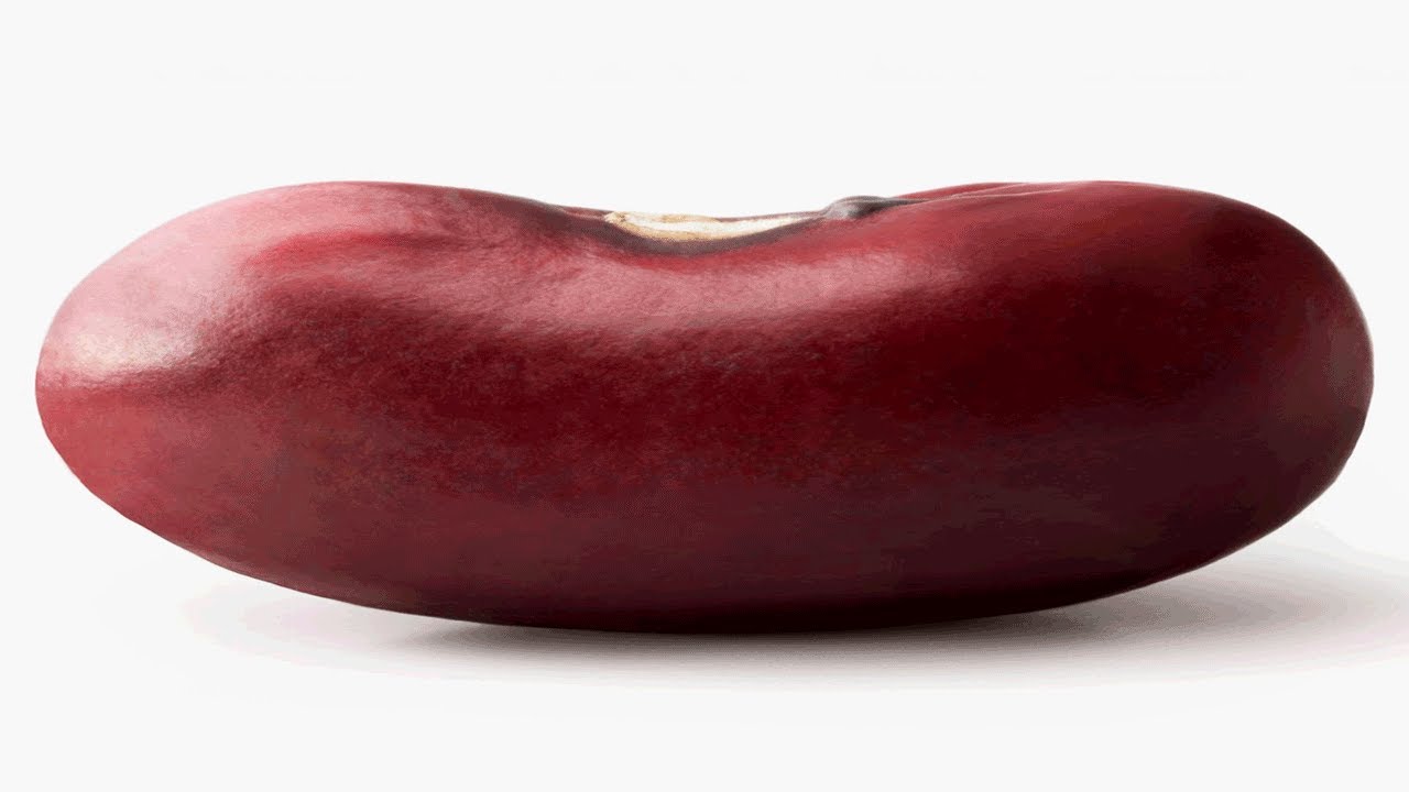 red bean sus - YouTube