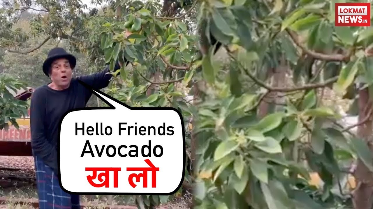 Dharmendra Village Life Style in Farm House | Dharmendra अपने Farm ...