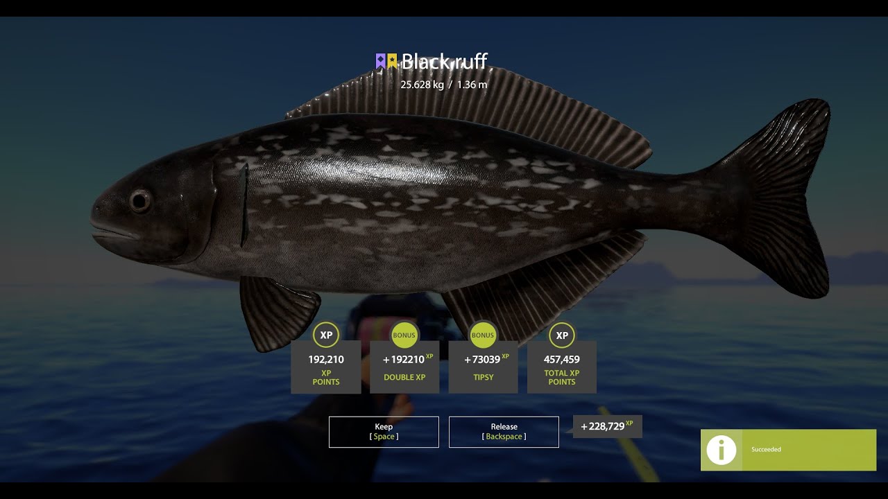 Russian fishing 4 Norwegian Sea Black ruff Trophy - YouTube