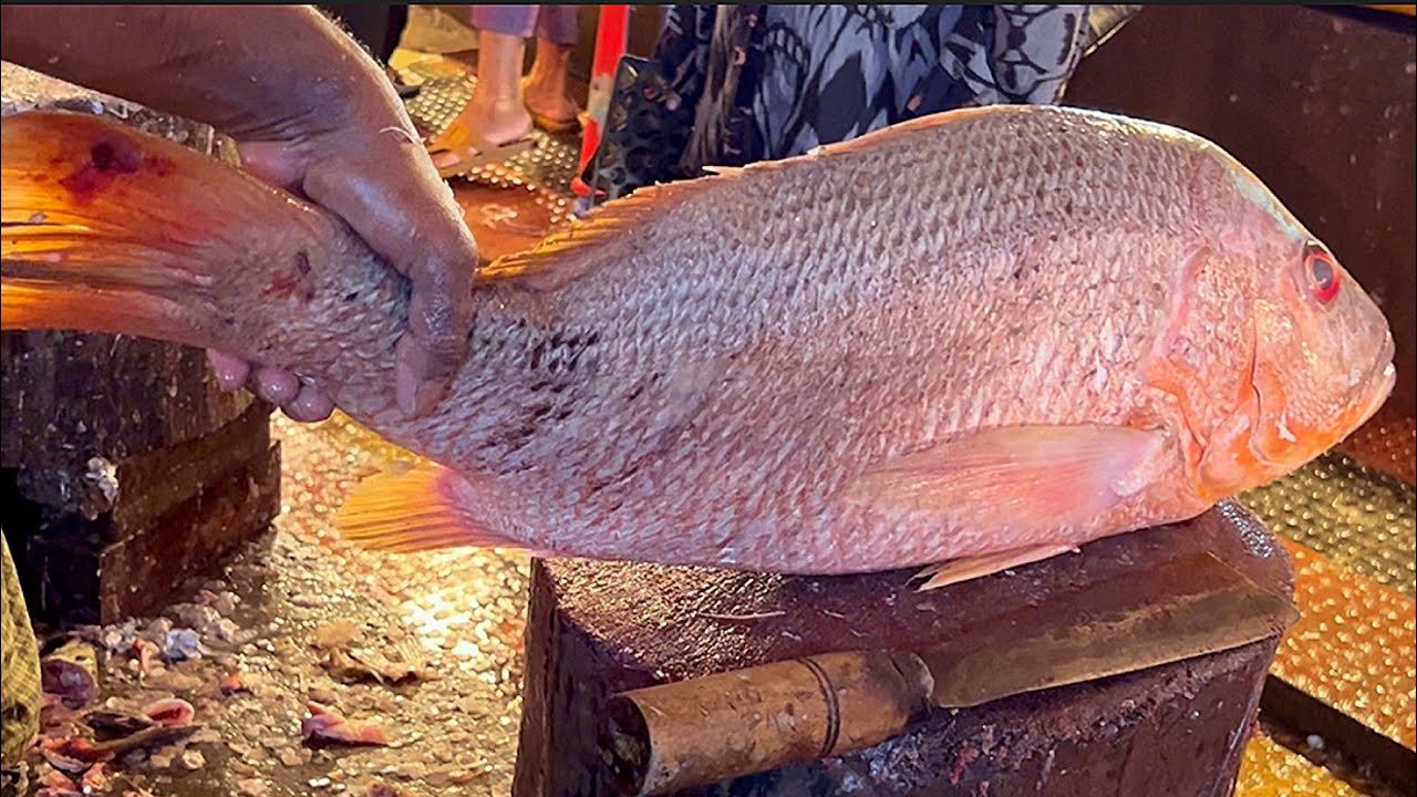 Incredible Giant Red Snapper Fish Cutting Skills In Fish Market ...