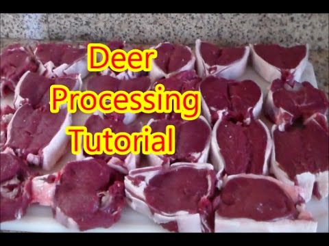 Deer Processing Tutorial - YouTube