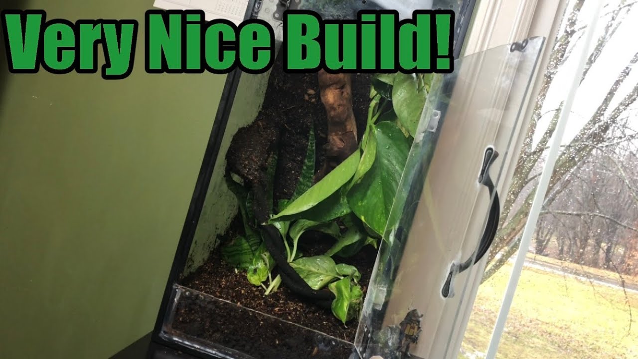 10 Gallon BIOACTIVE Terrarium BUILD! - YouTube