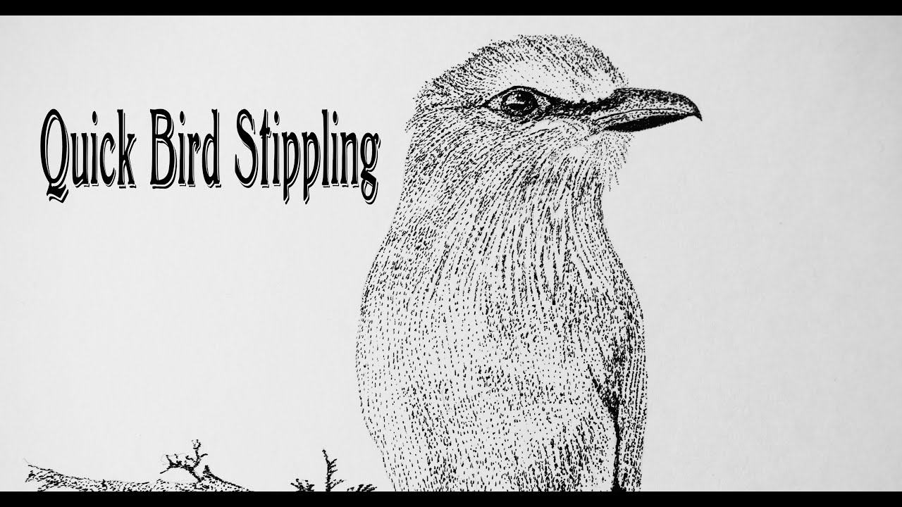 Stippling a bird - YouTube